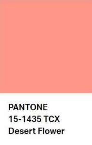 อัปเดต เทรนด์สีประจำปี 2021 เซฟเก็บไว้ ได้ใช้ชัวร์! - OFM Blog