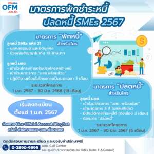 ข่าวดี มาตรการพักหนี้ SMEs 2567 เริ่มแล้ว ปลดหนี้ทั่วประเทศ - OFM Blog