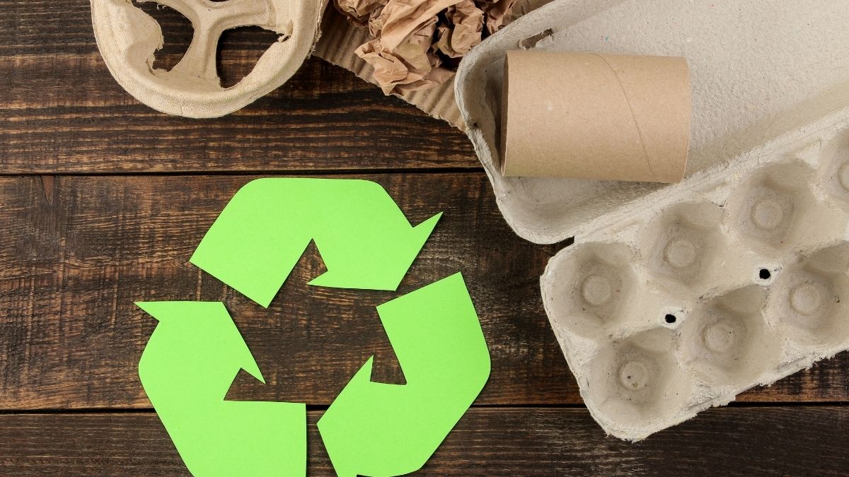 กระดาษรีไซเคิล คืออะไร มีกี่เกรด ใช้ทำอะไรได้บ้าง | OFM Blog